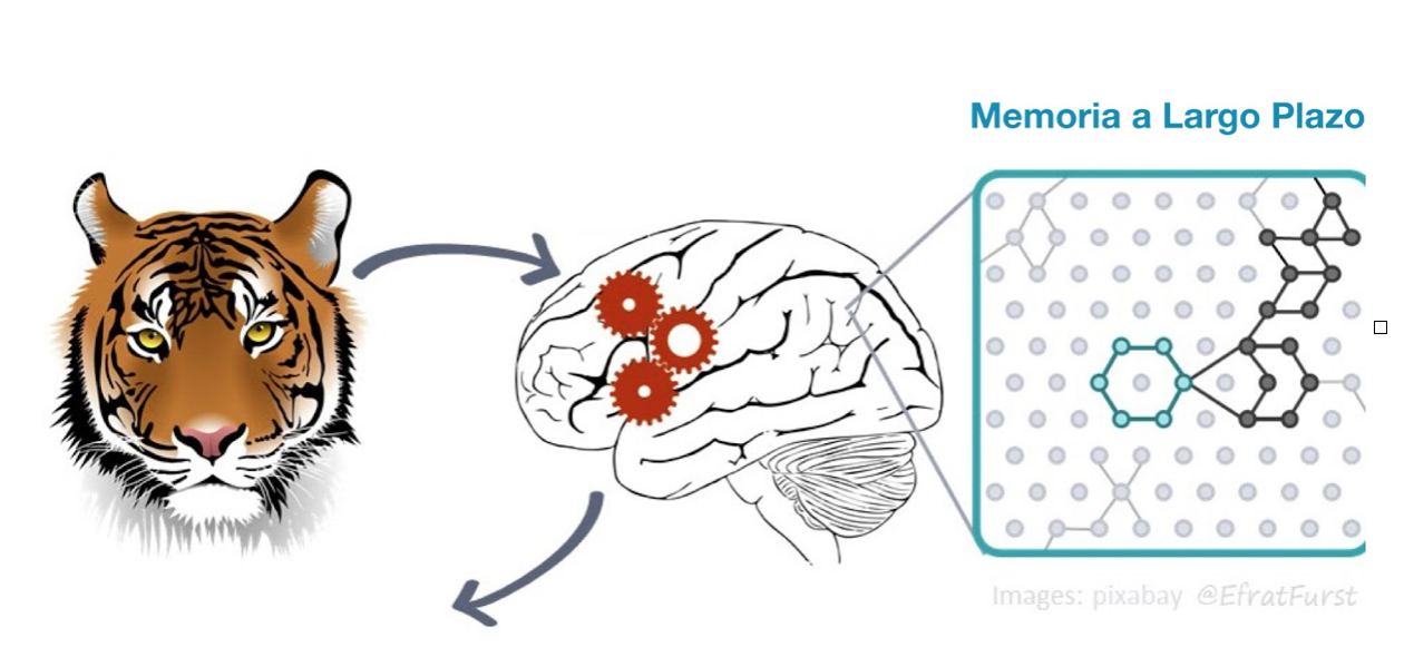 Aprender es conectar – INVESTIGACIÓN DOCENTE